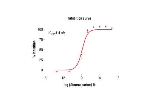 HTScan® CDK3/CycE Kinase Assay Kit (#7528) Datasheet With Images | Cell ...