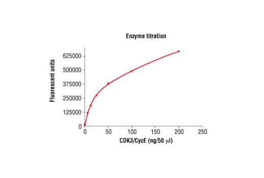 HTScan® CDK3/CycE Kinase Assay Kit (#7528) Datasheet With Images | Cell ...