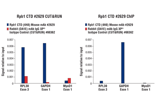 CUT&RUN Assay Kit (#86652) Datasheet With Images | Cell Signaling ...