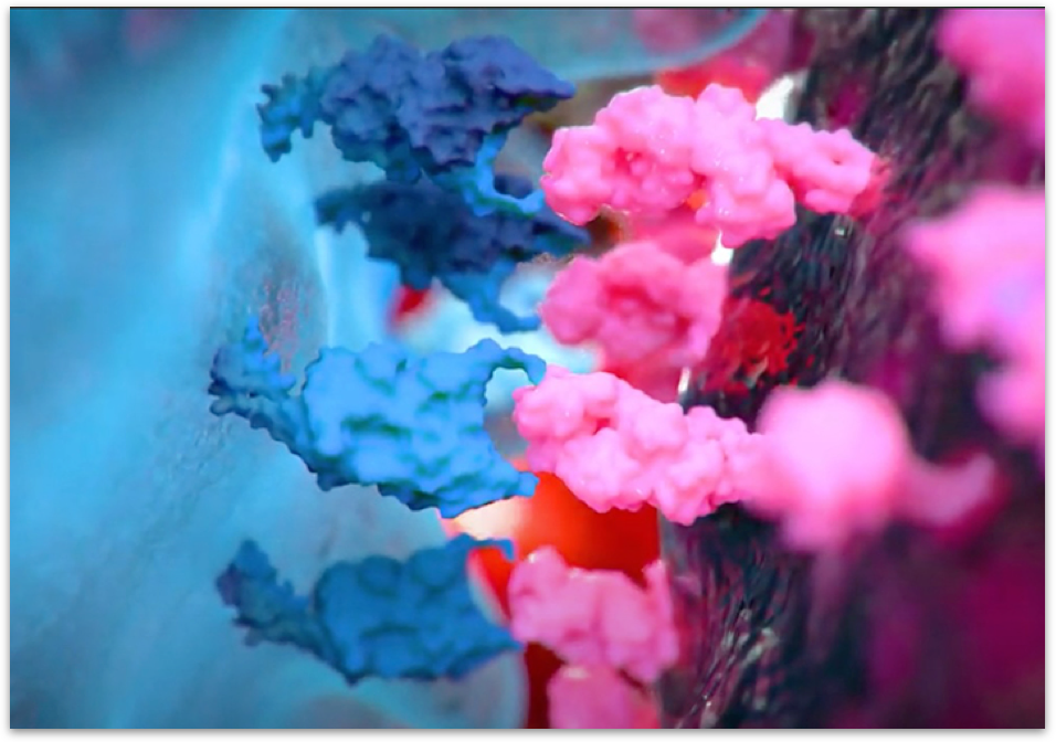 Antibodies, Reagents, Proteomics, Kits and Consumables | Cell Signaling ...