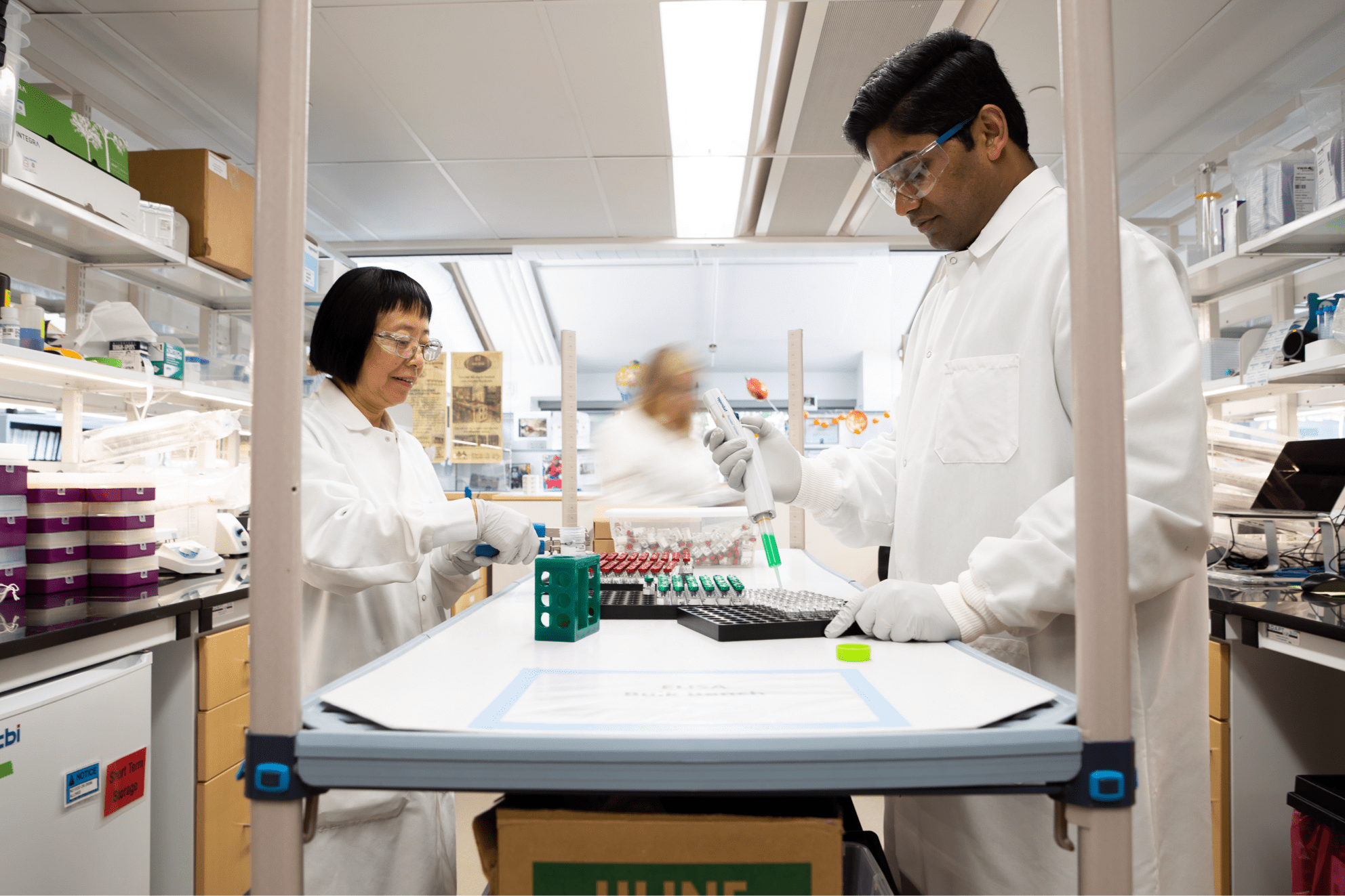 Antibodies, Reagents, Proteomics, Kits and Consumables | Cell Signaling Technology