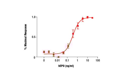 Human Erythropoietin (hEPO) | Cell Signaling Technology