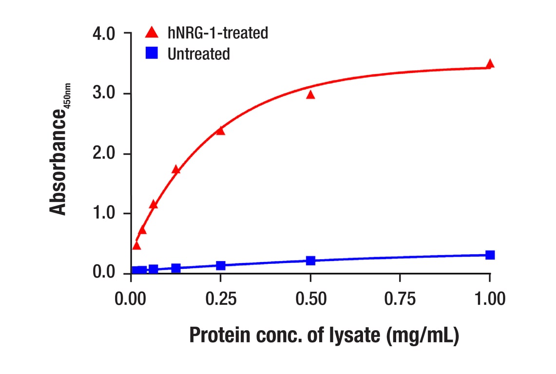 Phospho-HER3/ErbB3 (Tyr1328) Matched Antibody Pair | Cell Signaling Technology