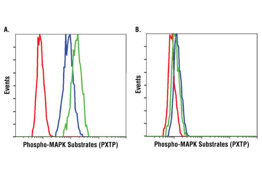 Phospho-MAPK Substrates (PXTP) (46G11) Rabbit mAb (#4391) Datasheet ...