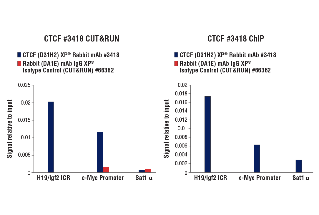 CUT&RUN Assay Kit (#86652) Datasheet With Images | Cell Signaling ...