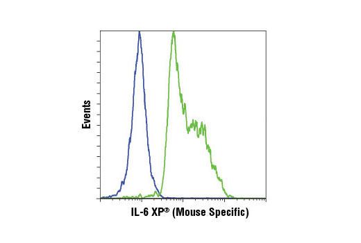 Mouse Reactive Senescence Marker Antibody Sampler Kit | Cell Signaling ...