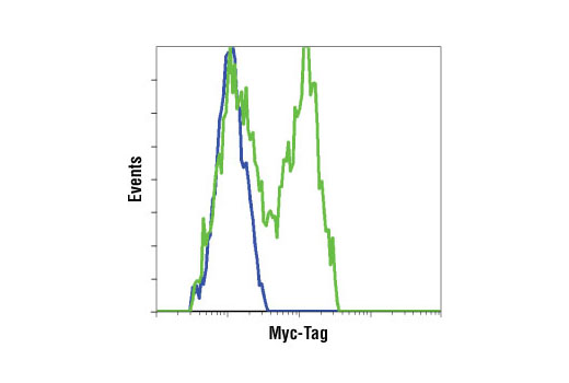 Myc-Tag Antibody | Cell Signaling Technology
