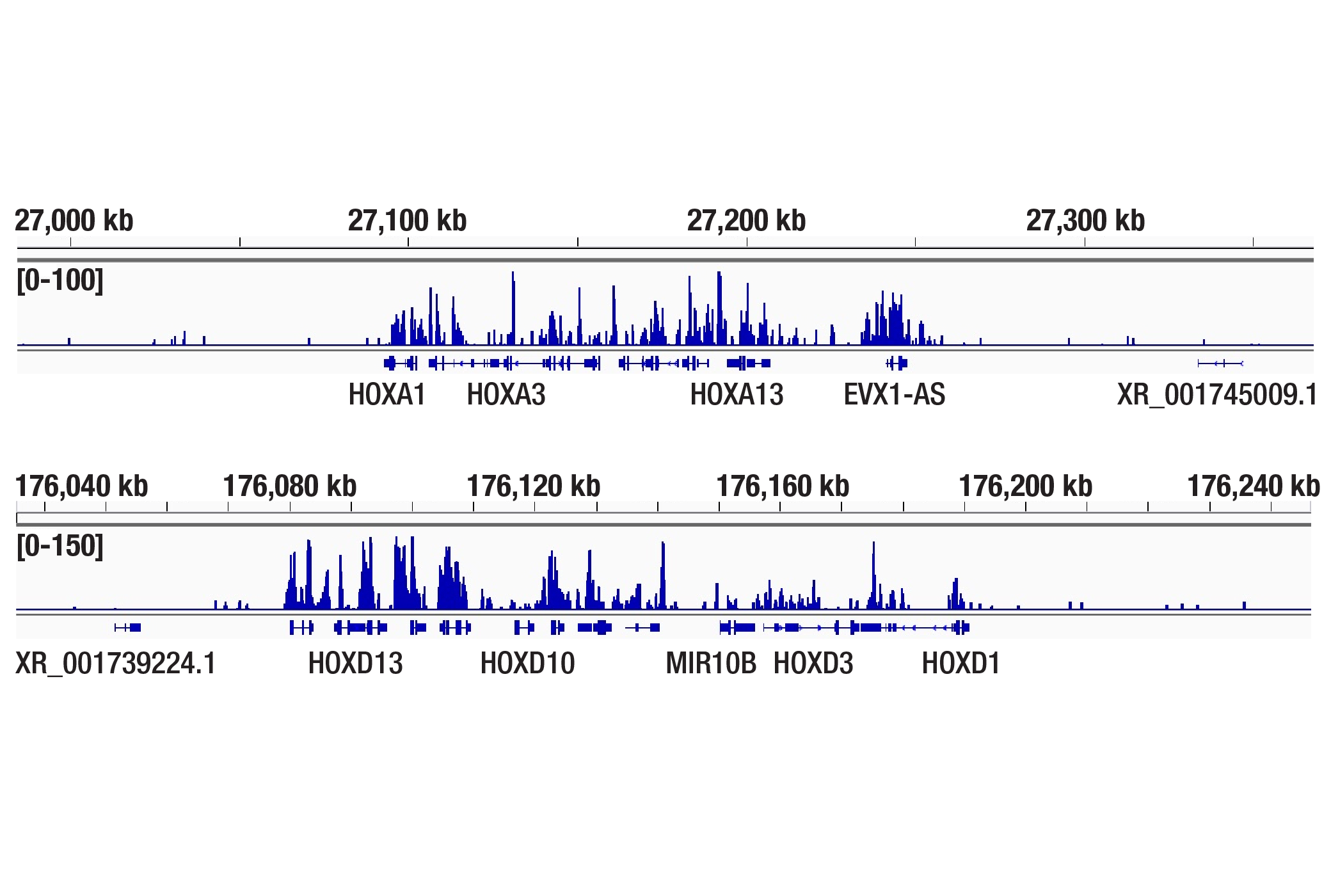 CUT&Tag Dual Index Primers and PCR Master Mix for Illumina Systems ...