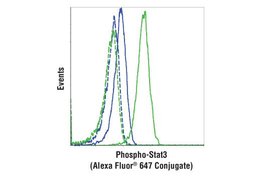 CST - Phospho-Stat3 (Ser727) (D4X3C) Rabbit mAb (Alexa Fluor® 488 Conjugate)