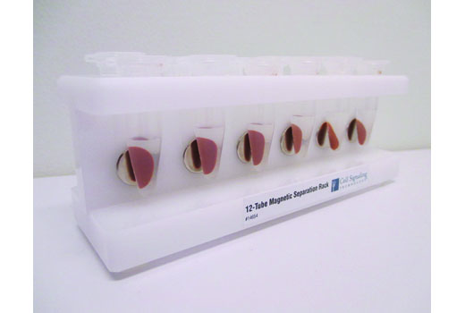 12-Tube Magnetic Separation Rack | Cell Signaling Technology