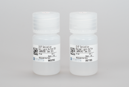 SimpleChIP® Sonication Cell and Nuclear Lysis Buffers | Cell Signaling ...