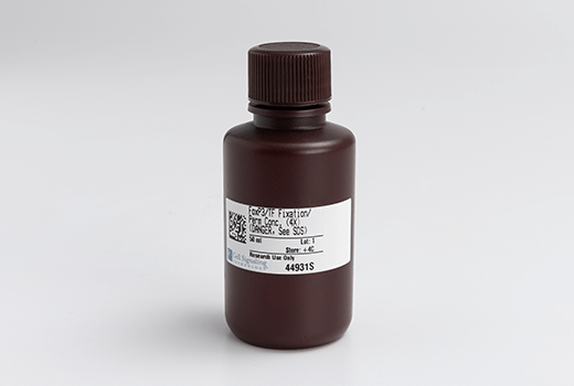 FoxP3/Transcription Factor Permeabilization Buffer (10X) | Cell ...
