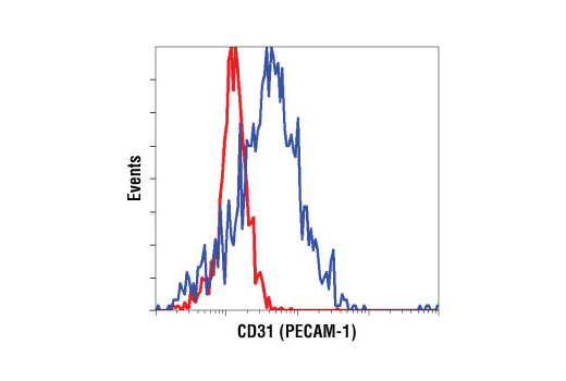 CST - CD31 (PECAM-1) (89C2) Mouse mAb